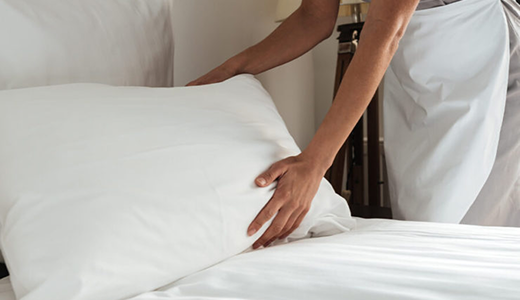 What’s Best for Your Home? – Babe Ann Cleaning Service